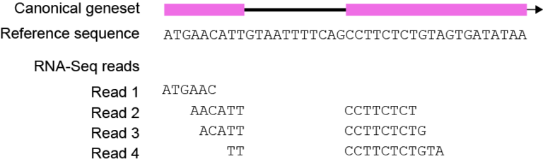 Tutorial alternative splicing: tools description