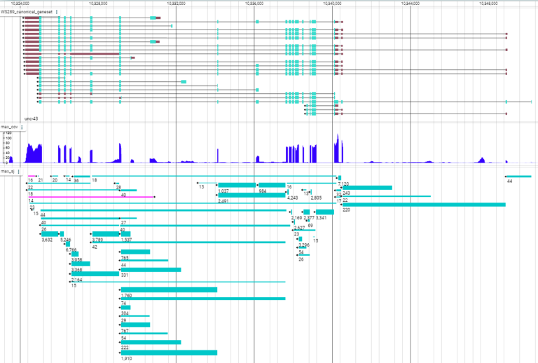 Tutorial alternative splicing: examples