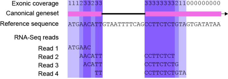 Tutorial alternative splicing: tools description