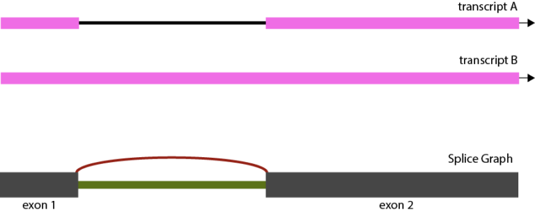 Tutorial alternative splicing: tools description