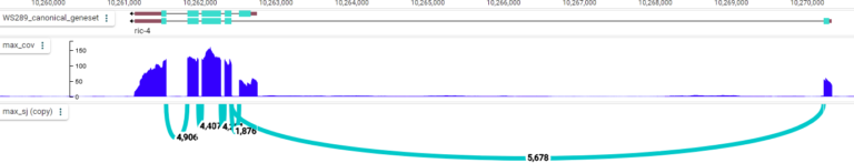 Tutorial alternative splicing: examples