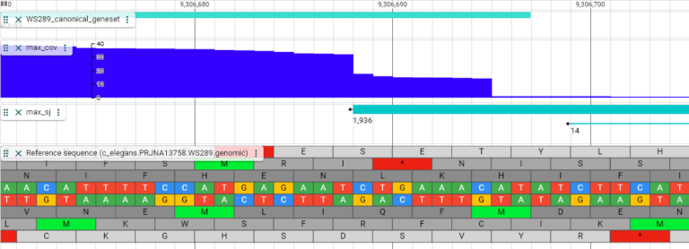 Tutorial alternative splicing: examples